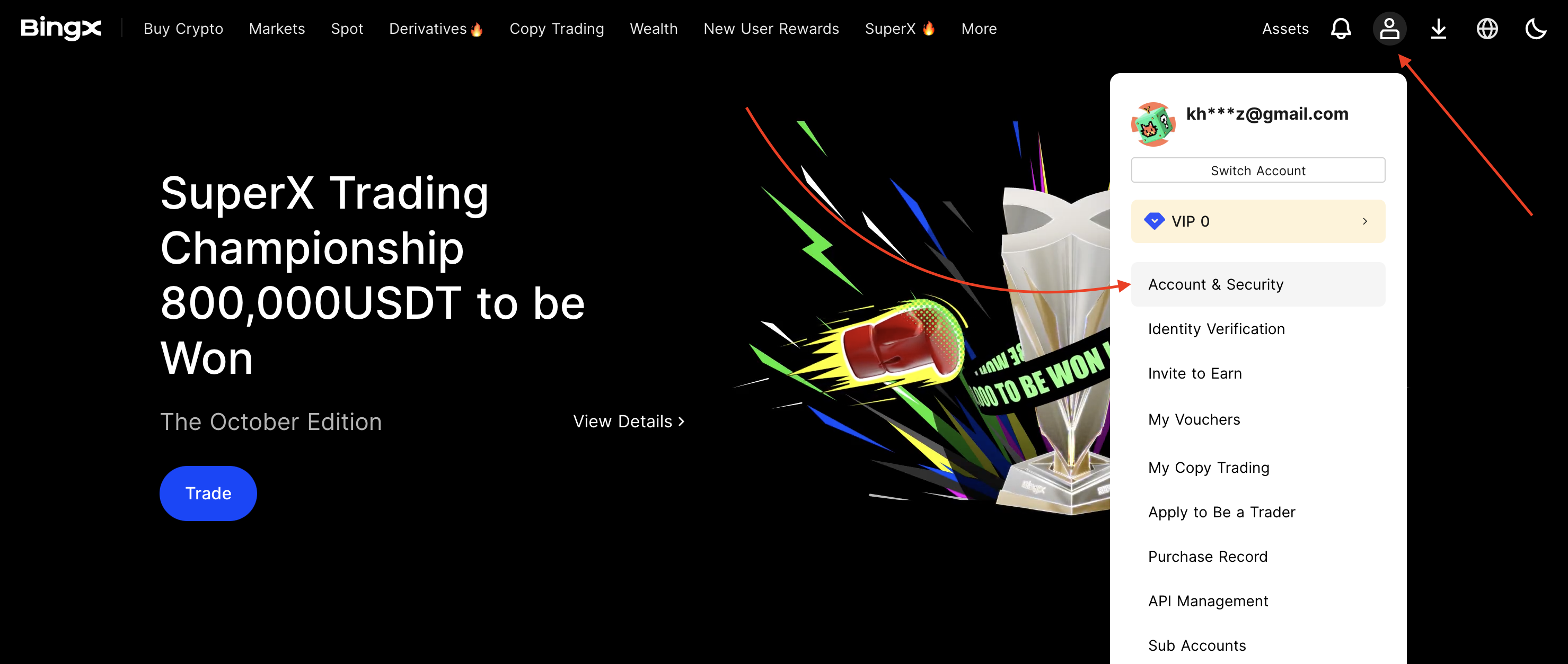 How to Get an API Key from BingX Exchange